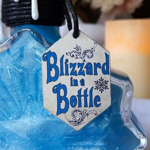 Blizzard in a Bottle - an Interactive, Decorative Magic Potion Bottle ...