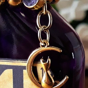 Cat Transfiguration Potion, an Interactive Decorative Magic Potion ...