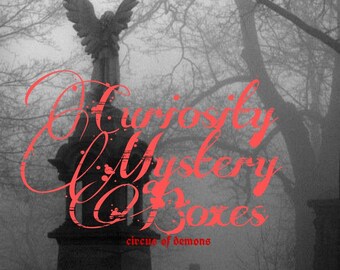 Animal Bone Mystery Box - Etsy