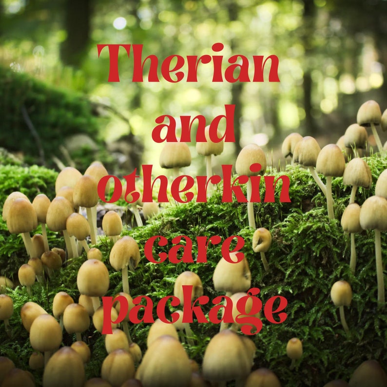 Therian and Otherkin Care Package Mystery Boxes - Etsy
