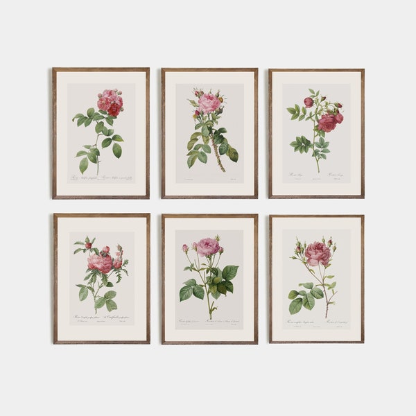 Botanical Rose Print - Etsy