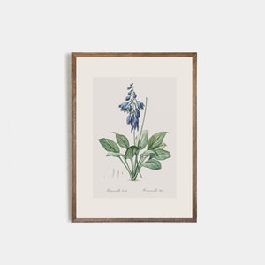 Minimalist Vintage Blue Flower Drawing, Set of 9 Antique Botanical ...