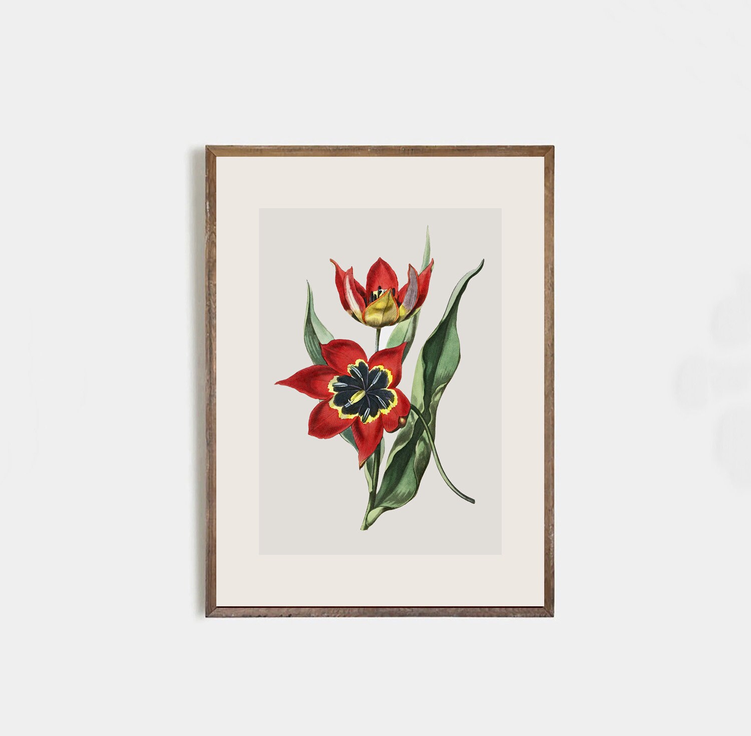 Set of 6 Red Vintage Flower Prints Red Floral Wall Art - Etsy