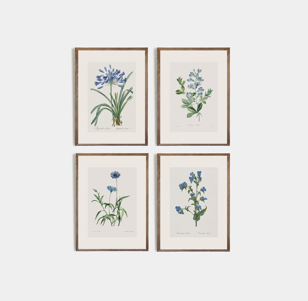 Set of 4 Vintage Blue Flower Drawings, Set of 4 Antique Botanical ...