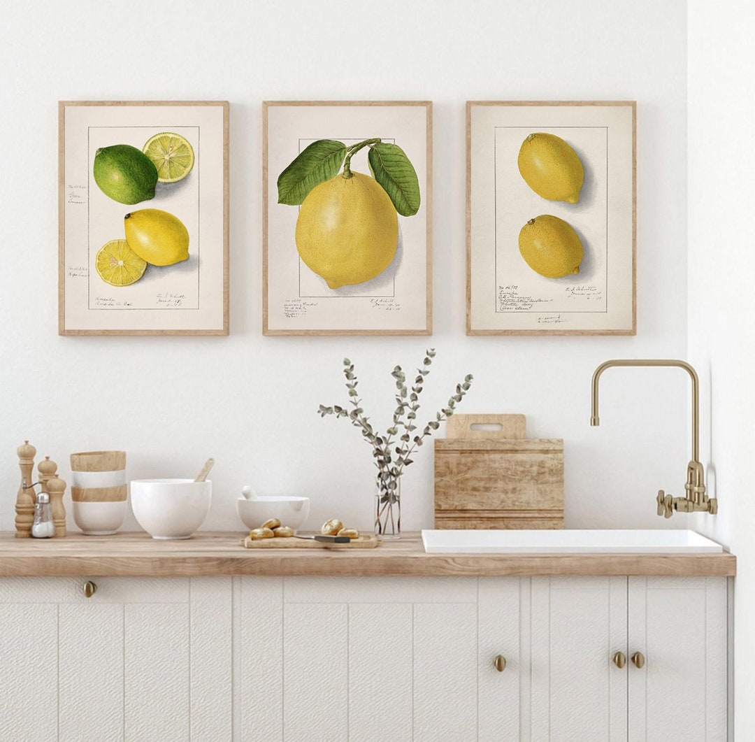 Vintage Lemon Print, Lemon Botanical Print, Set of 3, Lemon Art ...