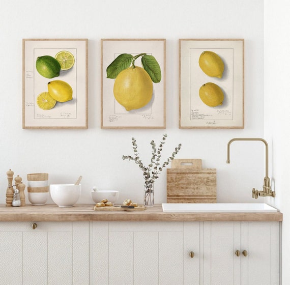 Vintage Lemon Print Lemon Botanical Print Set of 3 Lemon - Etsy