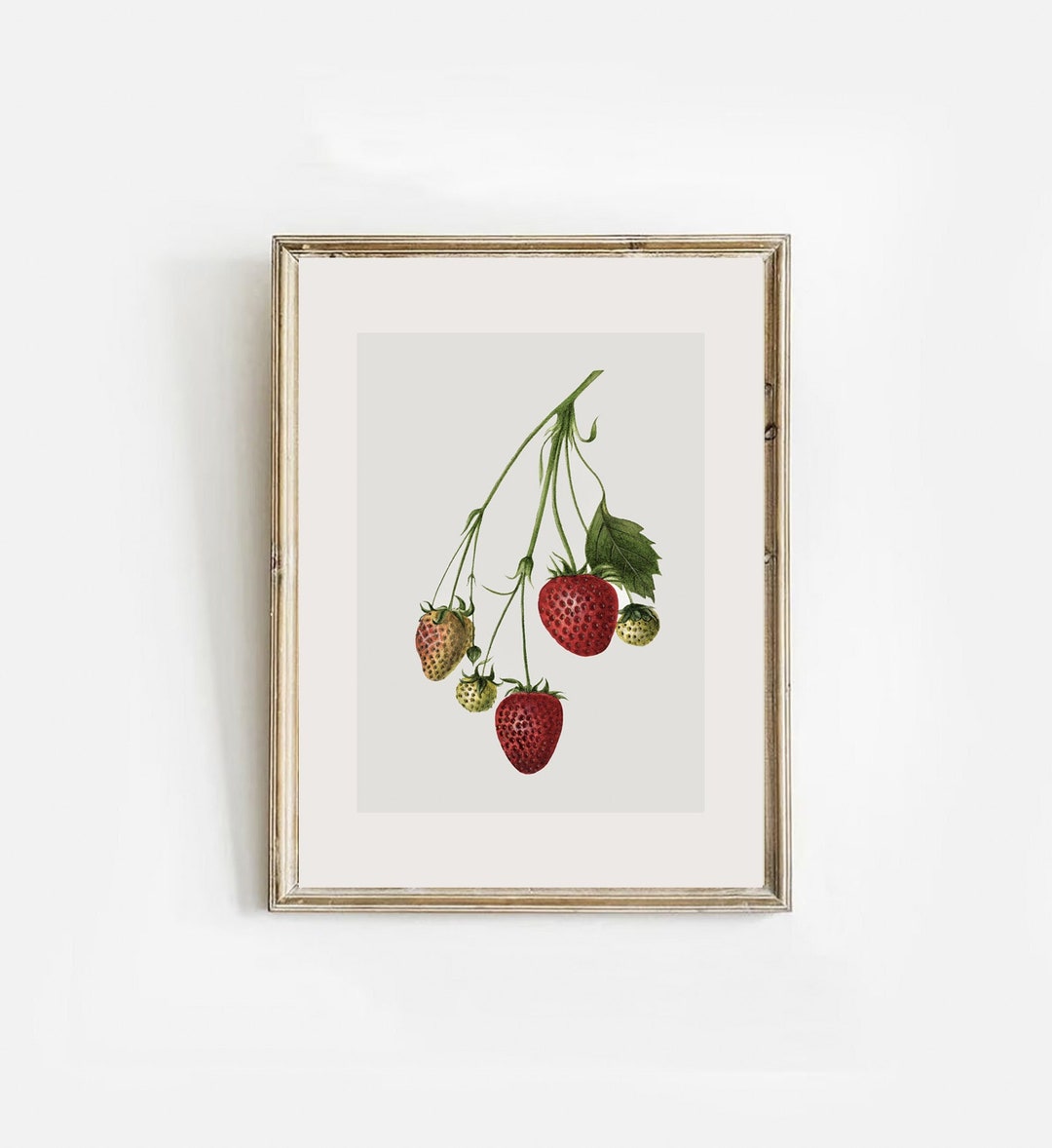 Minimalist Strawberry Plant Drawing, Vintage Strawberries Art, Rustic ...