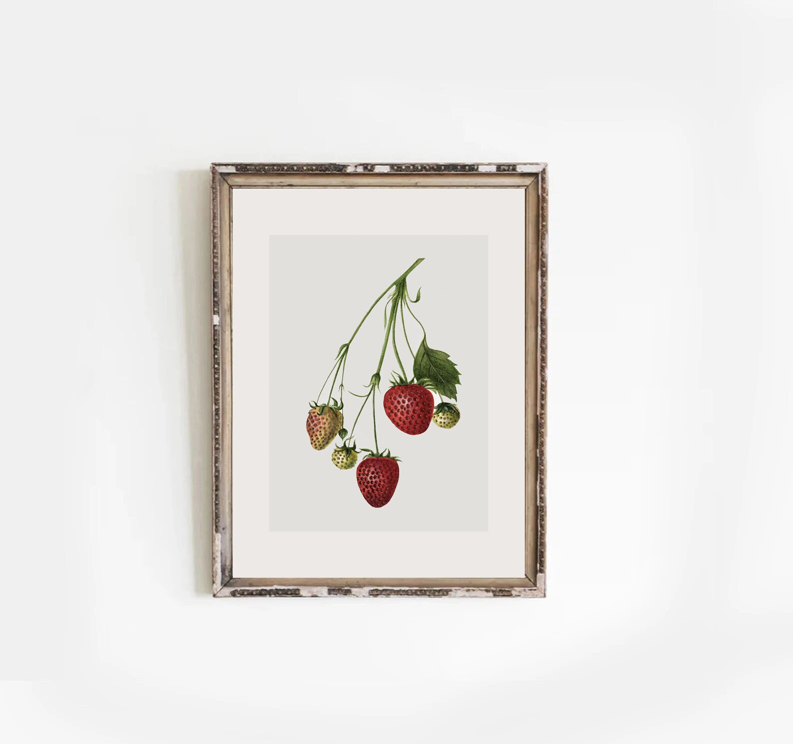 Minimalist Strawberry Plant Drawing, Vintage Strawberries Art, Rustic ...