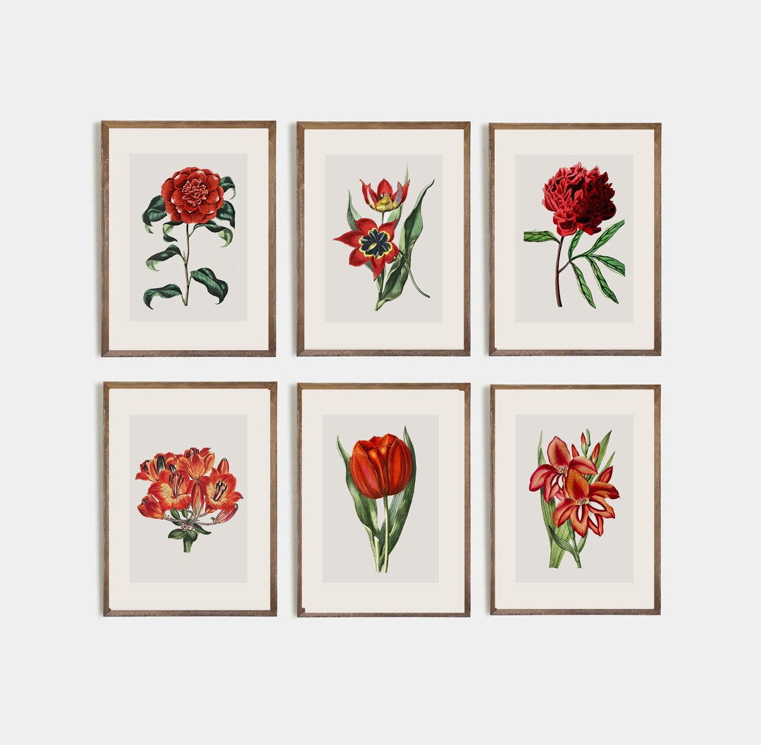 Set of 6 Red Vintage Flower Prints | Red Floral Wall Art | Vintage ...