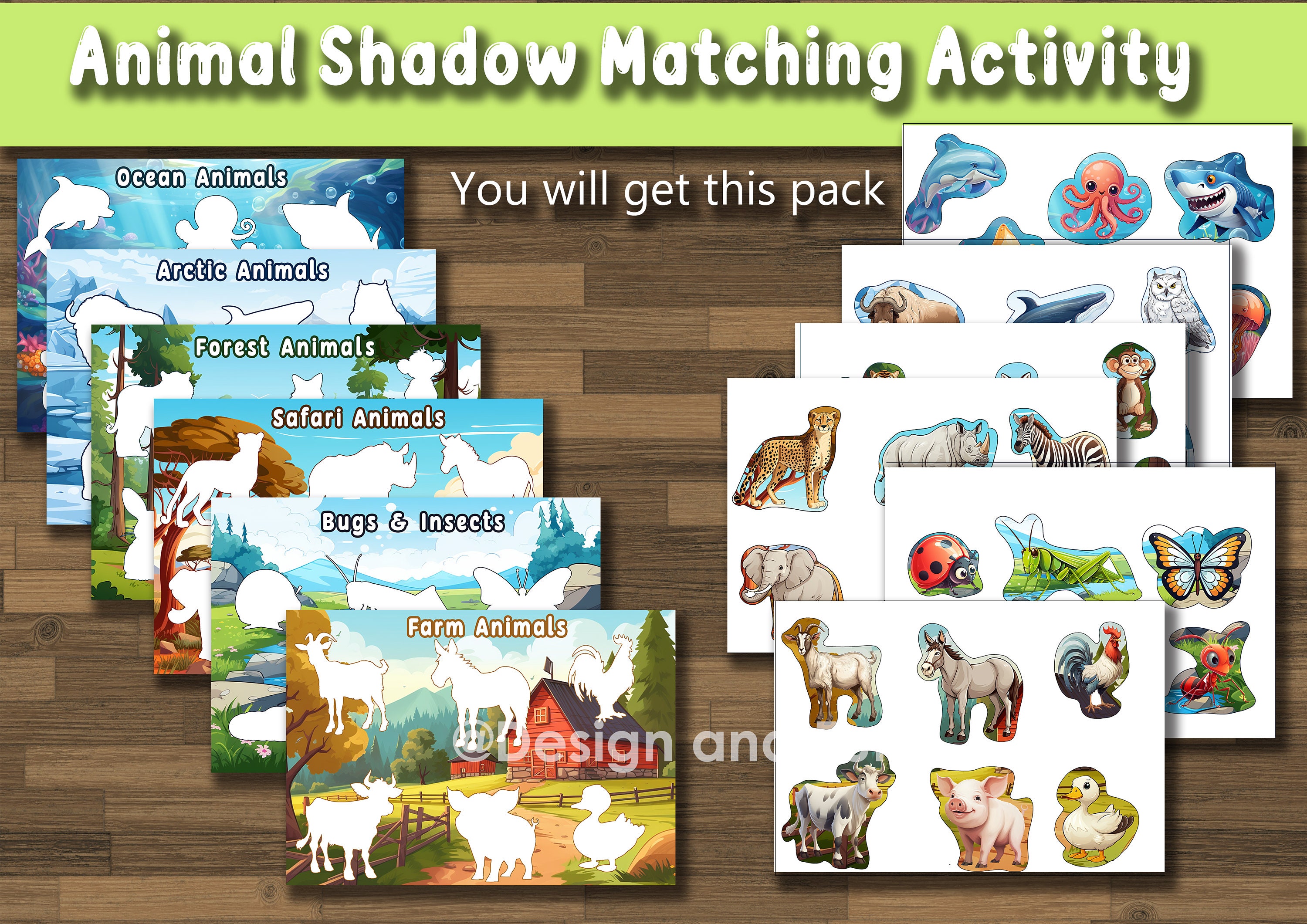 Printable Animal Shadow Matching Activity for Homeschool, SEN, Animal ...