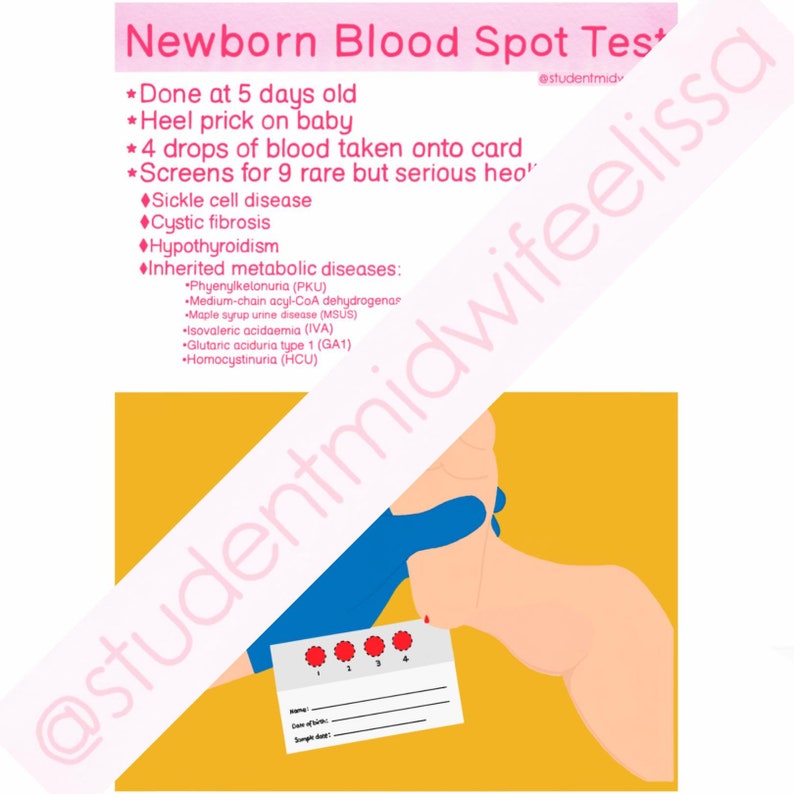 The Newborn Pack Midwifery Notes Digital Download - Etsy