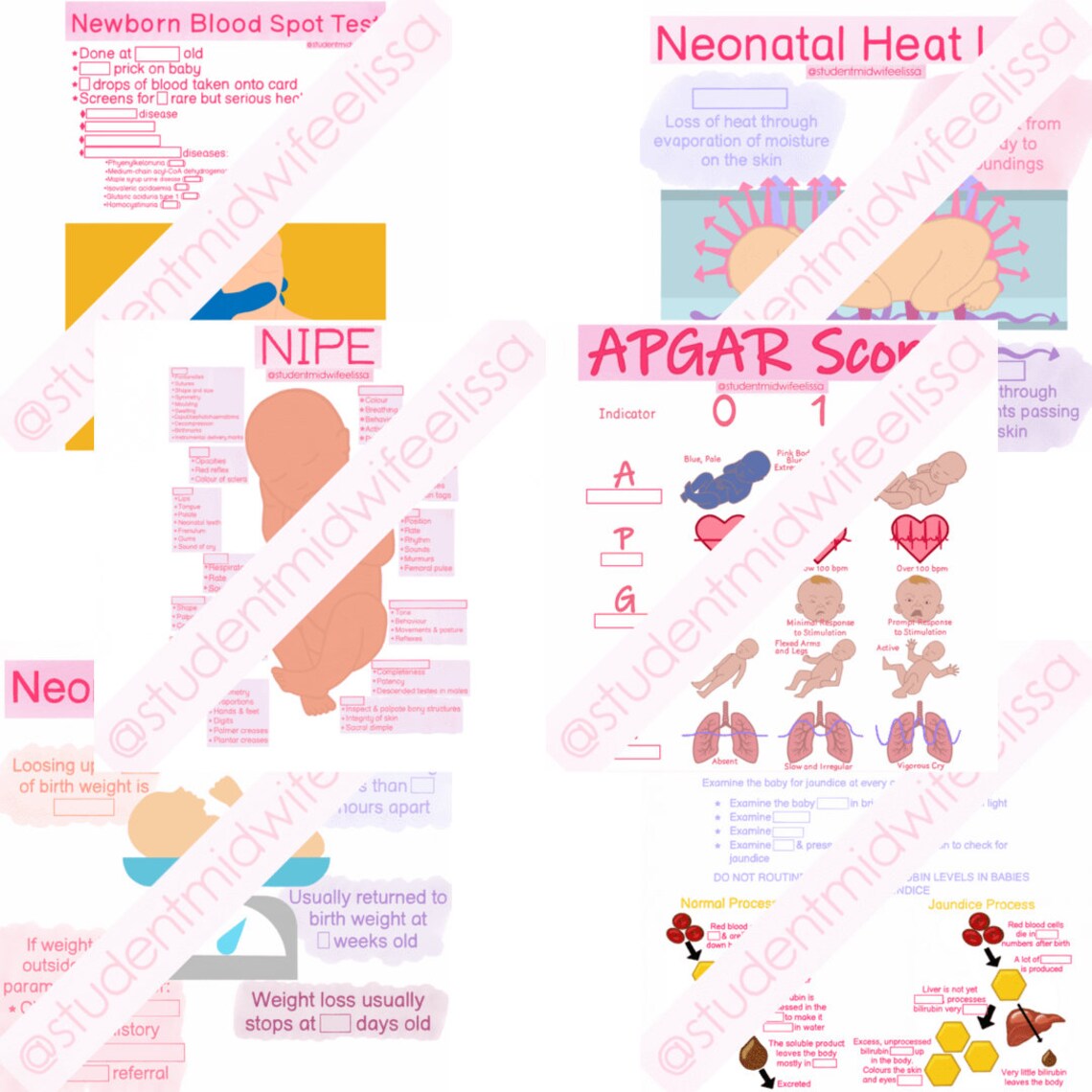 The Newborn Pack Midwifery Notes Digital Download - Etsy