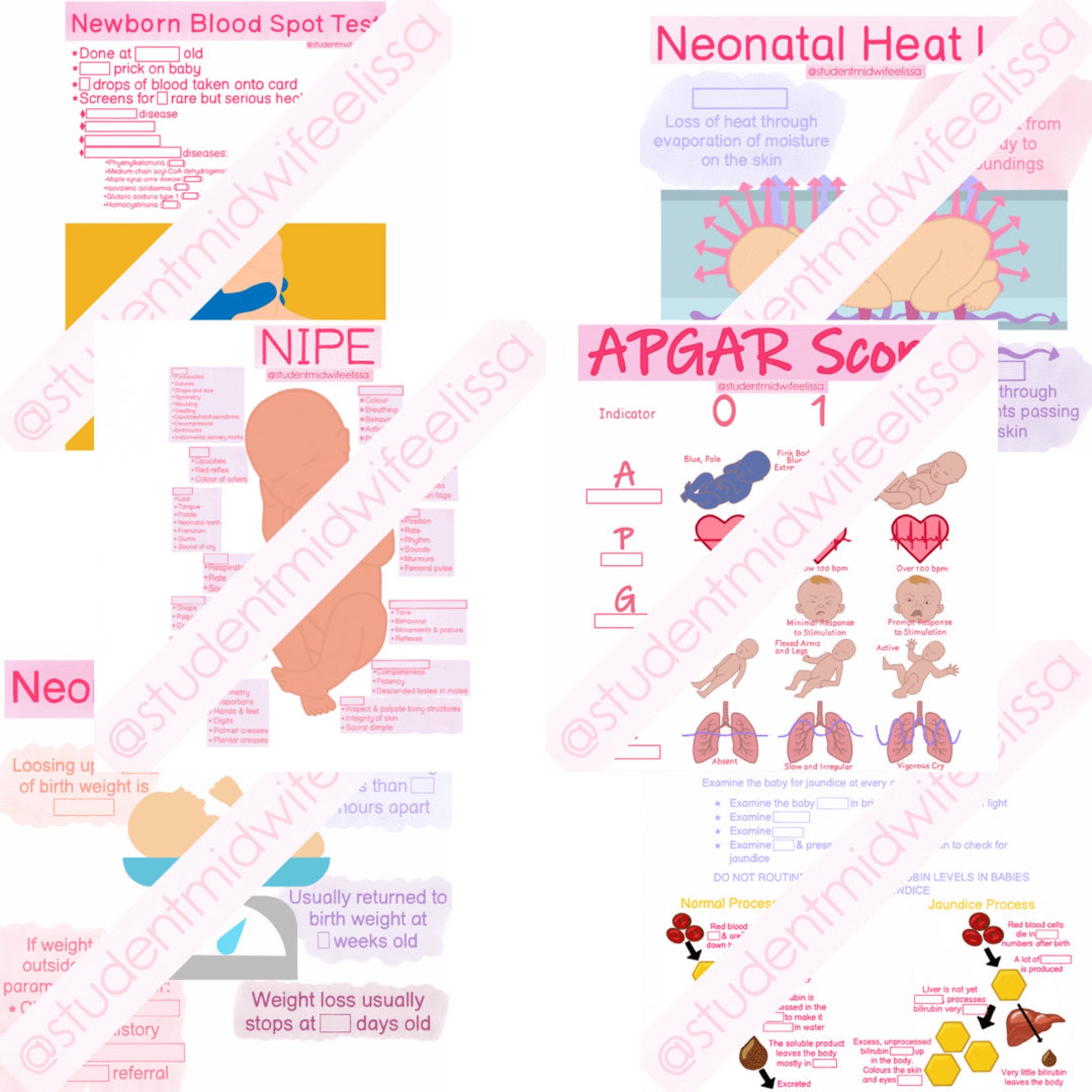 The Newborn Pack Midwifery Notes Digital Download - Etsy