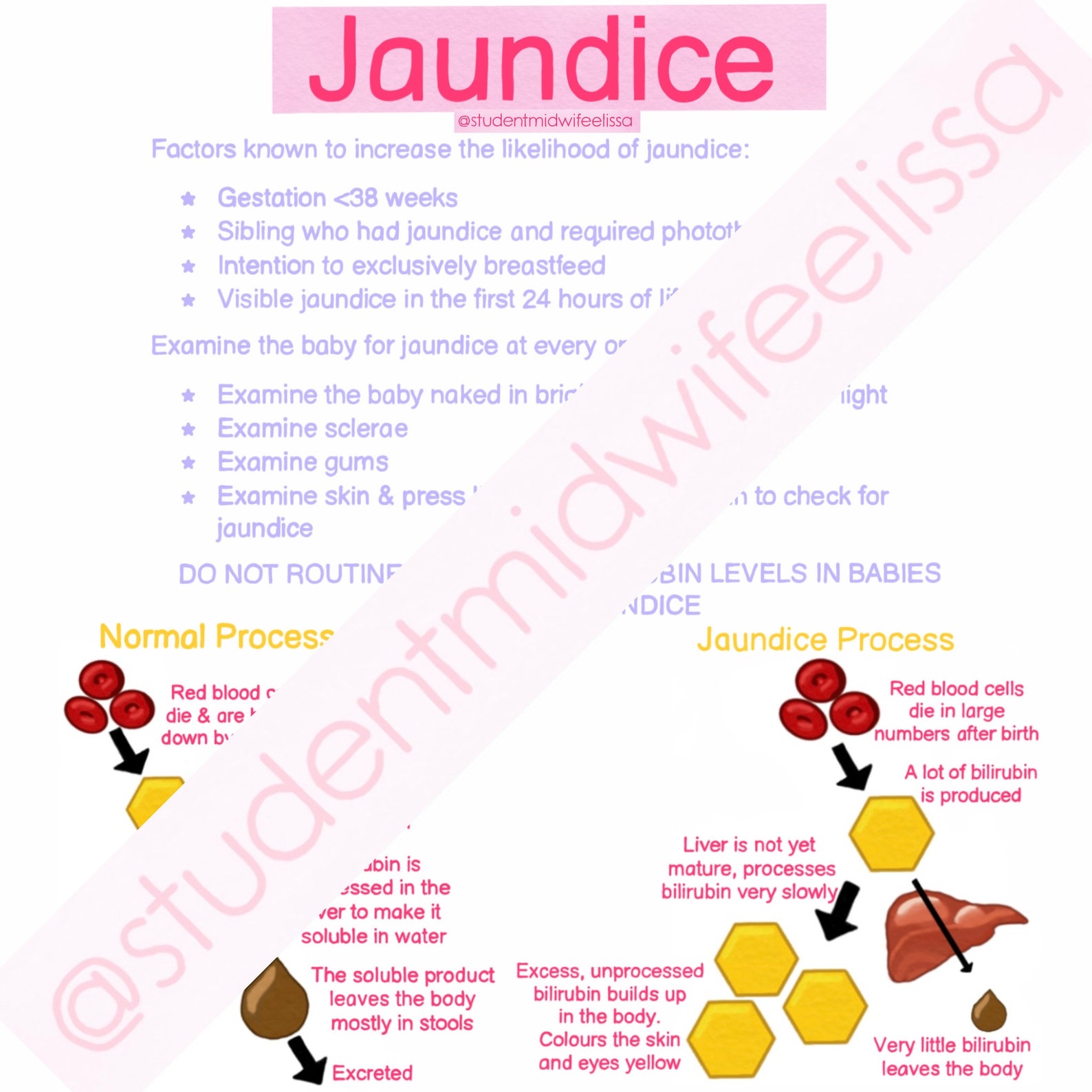 The Newborn Pack Midwifery Notes - Digital Download - Etsy