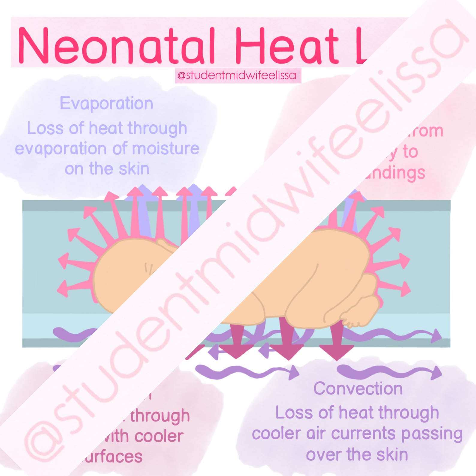The Newborn Pack Midwifery Notes Digital Download - Etsy