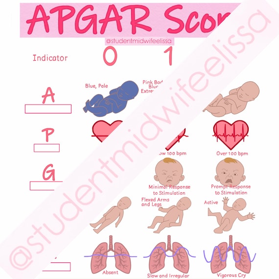 Apgar Score Chart