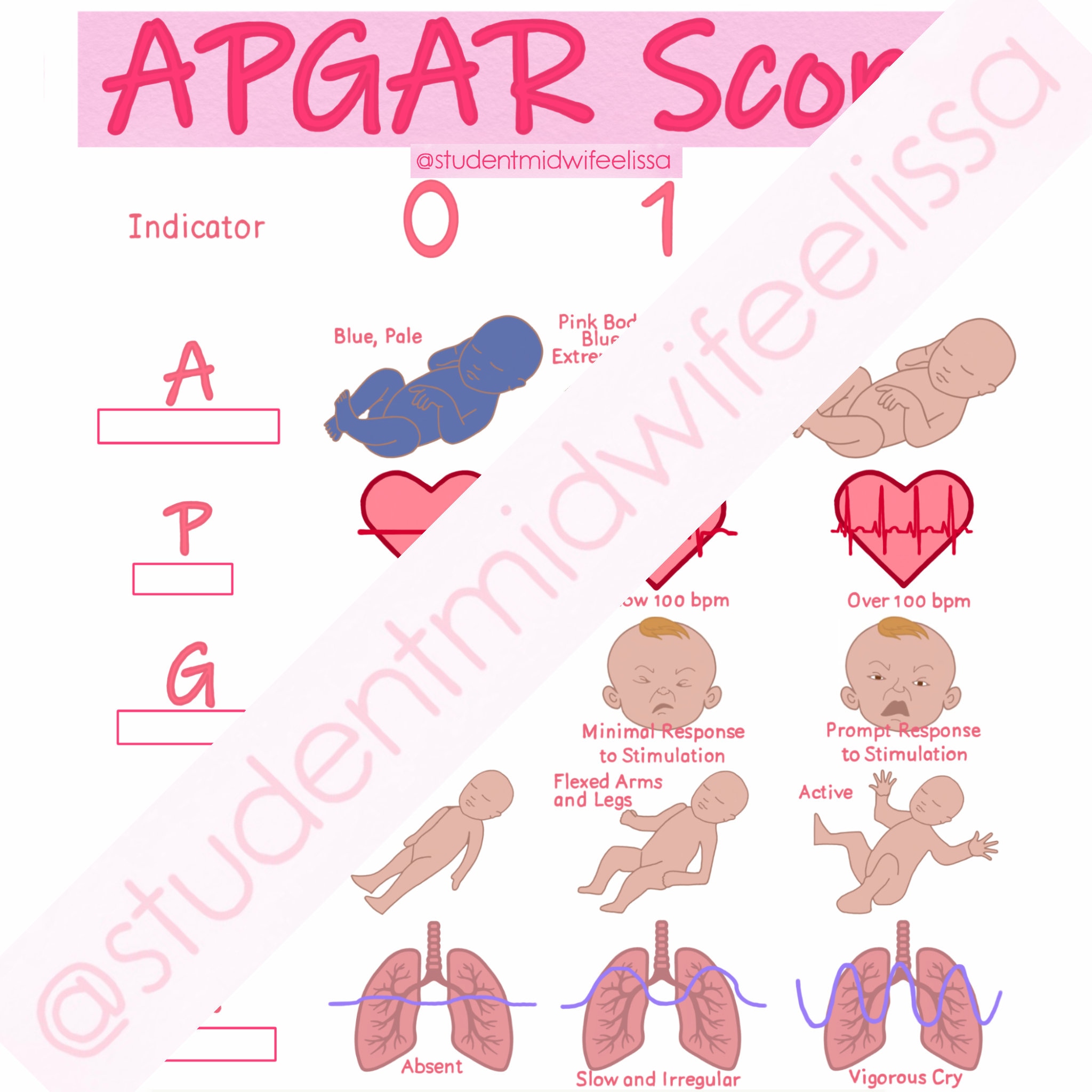 Apgar Score
