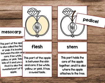 Parts of an Apple Felt Set Puzzle/montessori Science/homeschool Science ...