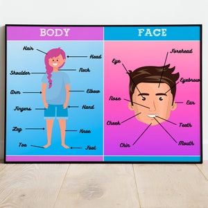 Parts of BODY and FACE POSTER • Montessori Educational Posters, Kids ...