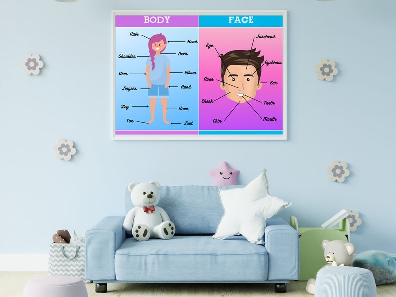 Parts of BODY and FACE POSTER • Montessori Educational Posters, Kids ...
