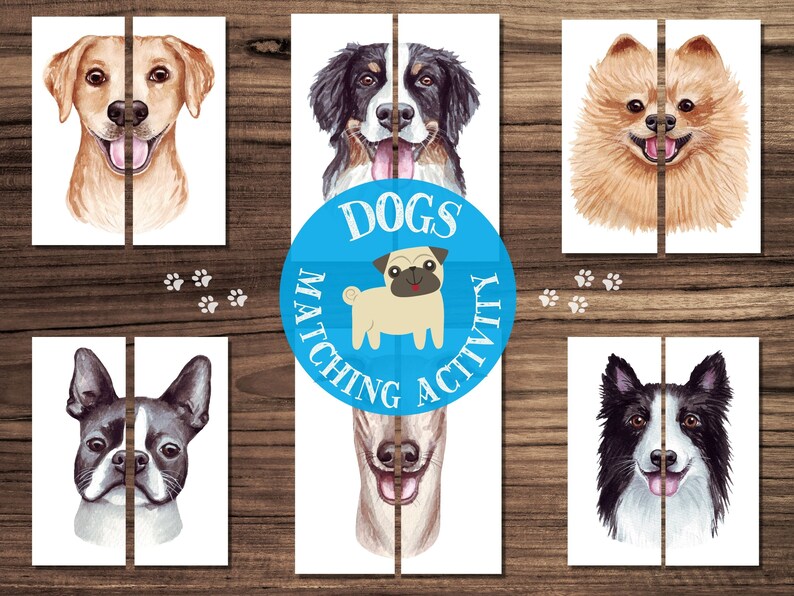 Dogs Symmetry Puzzles Kid Matching Cards Homeschool | Etsy