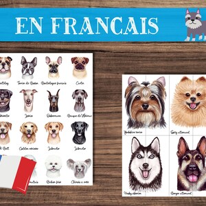 Dogs Symmetry Puzzles • Kid Matching Cards, Homeschool Learning ...