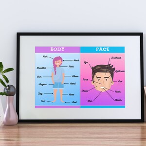 Parts of BODY and FACE POSTER • Montessori Educational Posters, Kids ...