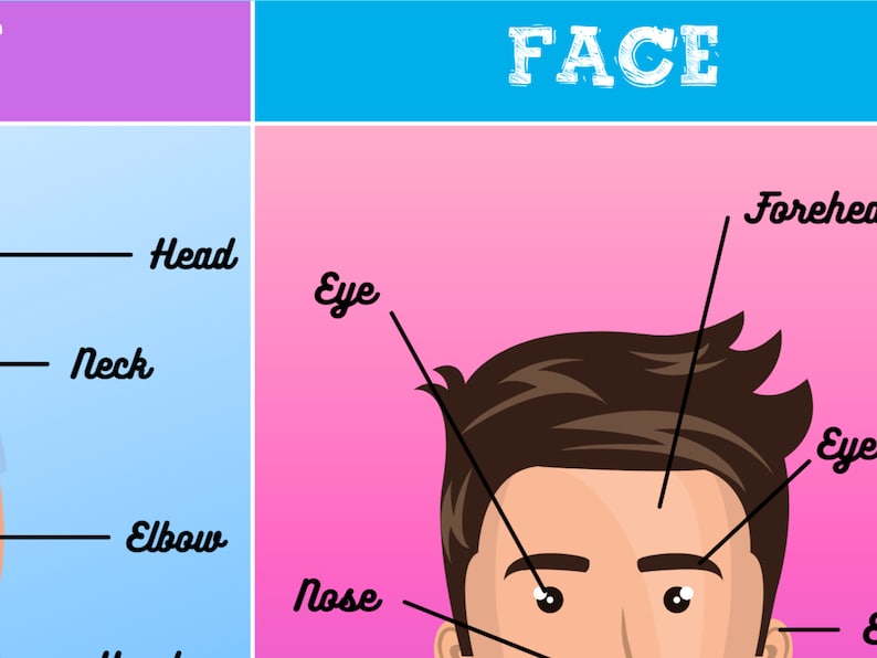 Parts of BODY and FACE POSTER • Montessori Educational Posters, Kids ...