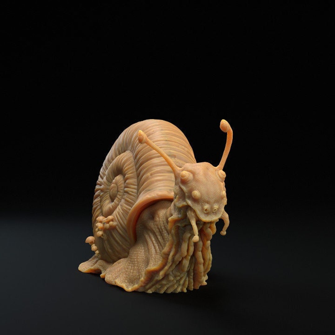 Giant Snail - Dragon Trapper's Lodge - Etsy