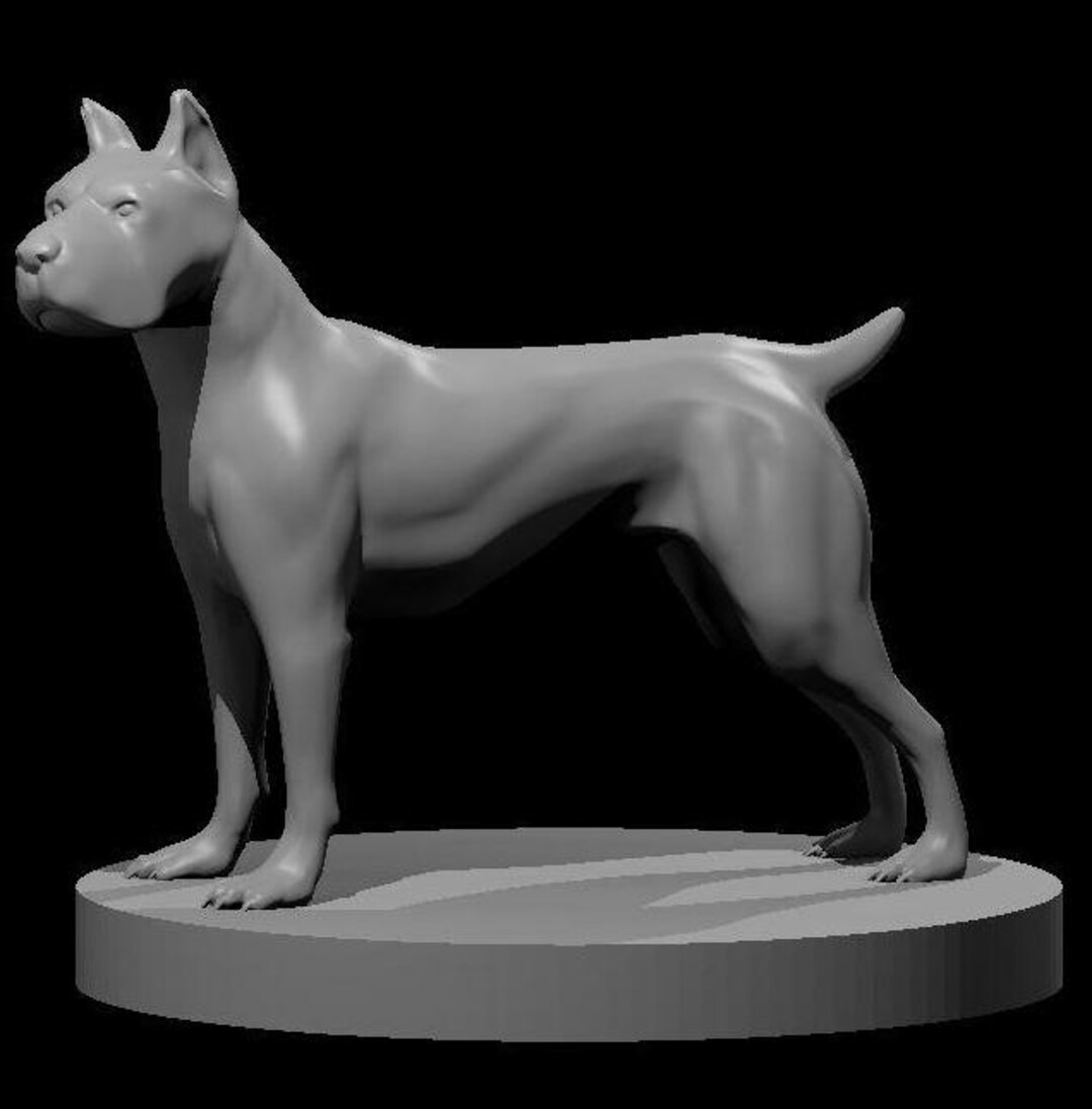 Pitbull (3 Variants Available) - MZ4250 - Etsy
