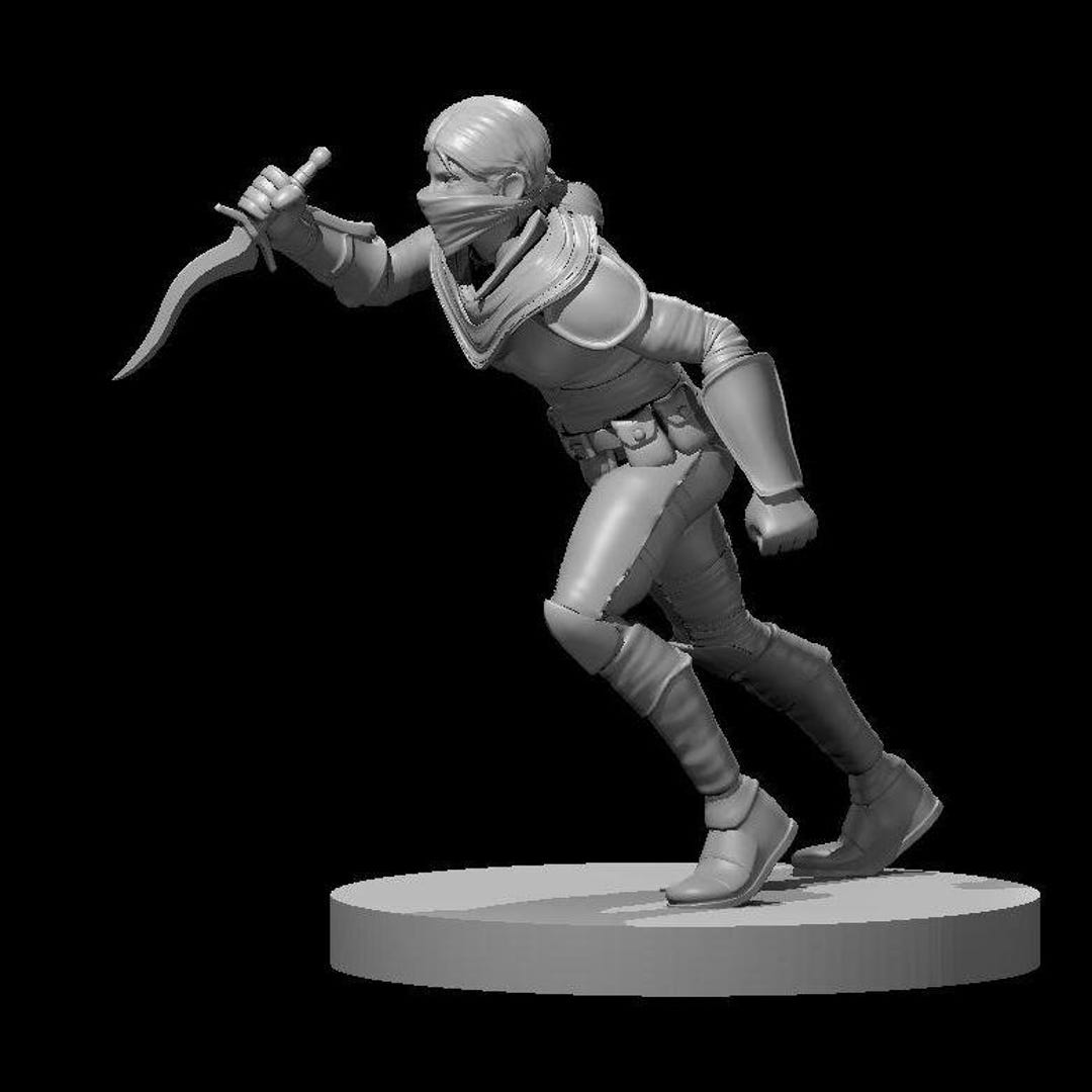 Human Rogues, Set 2 (8 Variants Available) - MZ4250 - Etsy