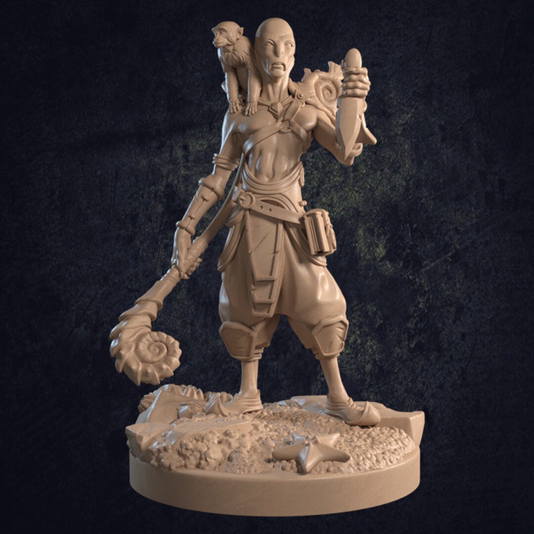 Aquatic Mage and Monkey Familiar (3 Variants Available) - Dragon ...