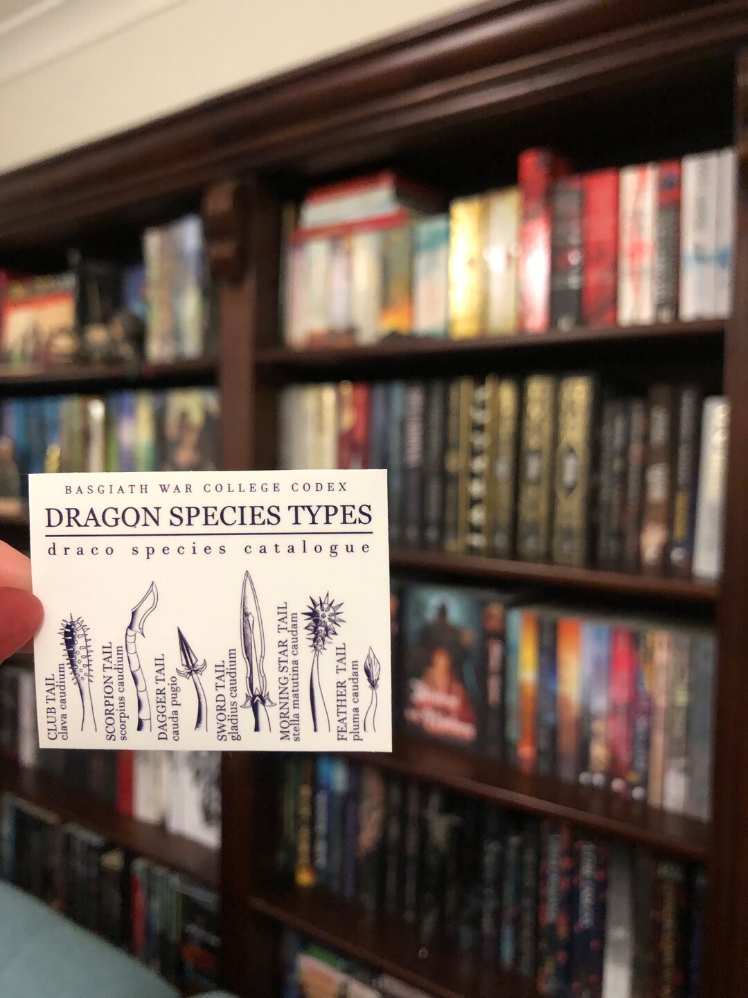 Fourth Wing Dragon Species, Draco Species, Dragon Rider, Iron Flame - Etsy