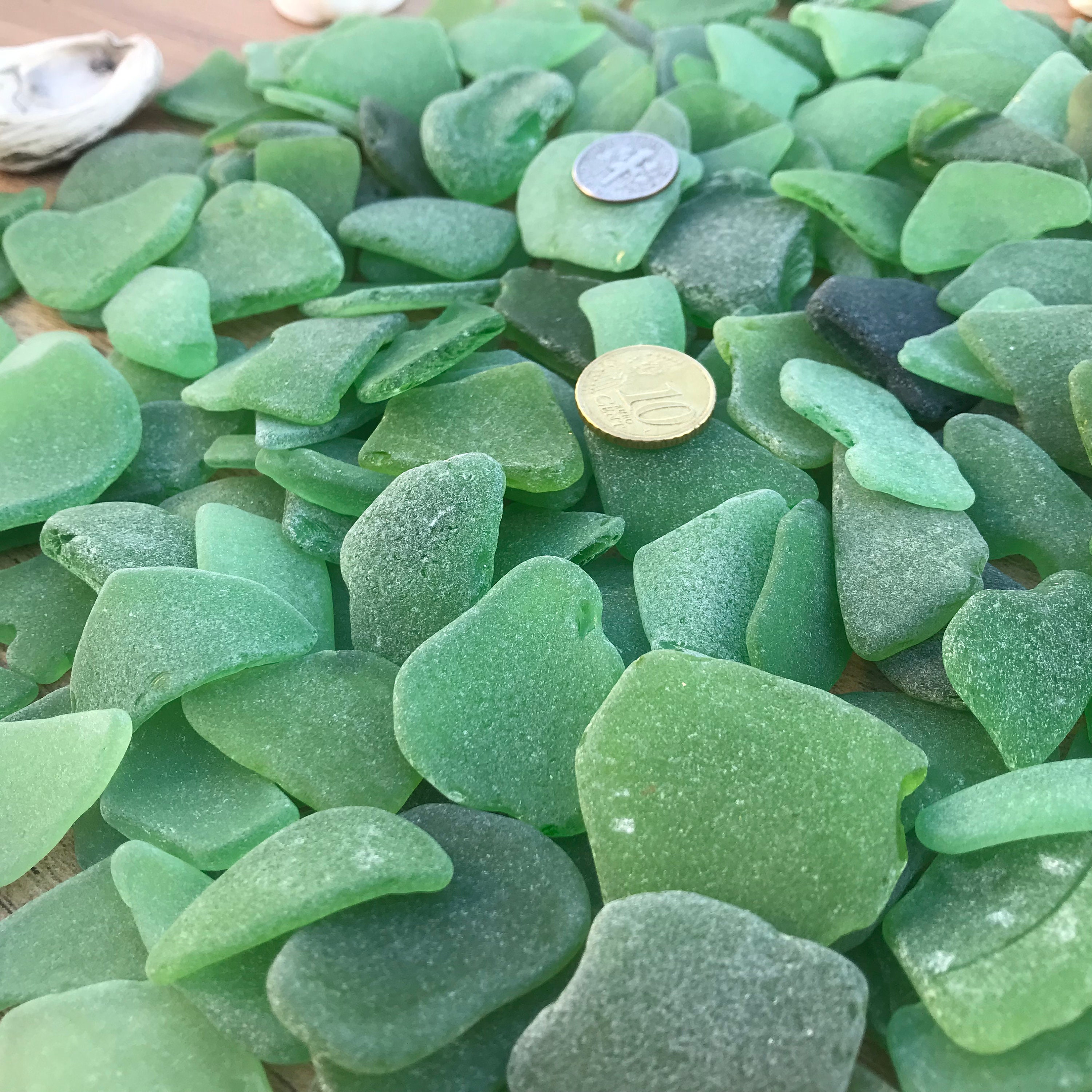 Bulk Sea Glass Green Authentic Sea Glass Lot 25-200 Pieces - Etsy