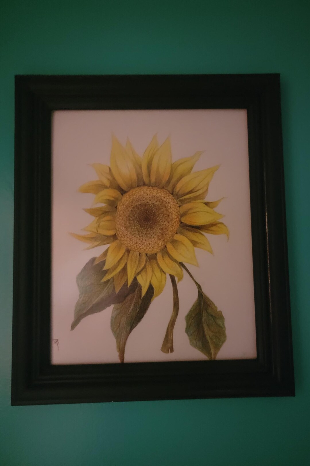 Colored Pencil Drawing : on Watercolor Paper 2016 Framed in Anvil Grey ...