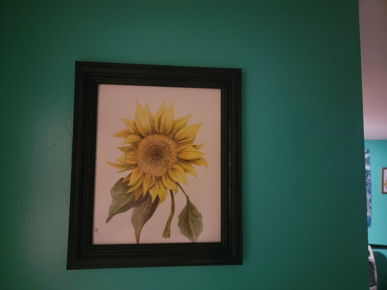 Colored Pencil Drawing : on Watercolor Paper 2016 Framed in Anvil Grey ...