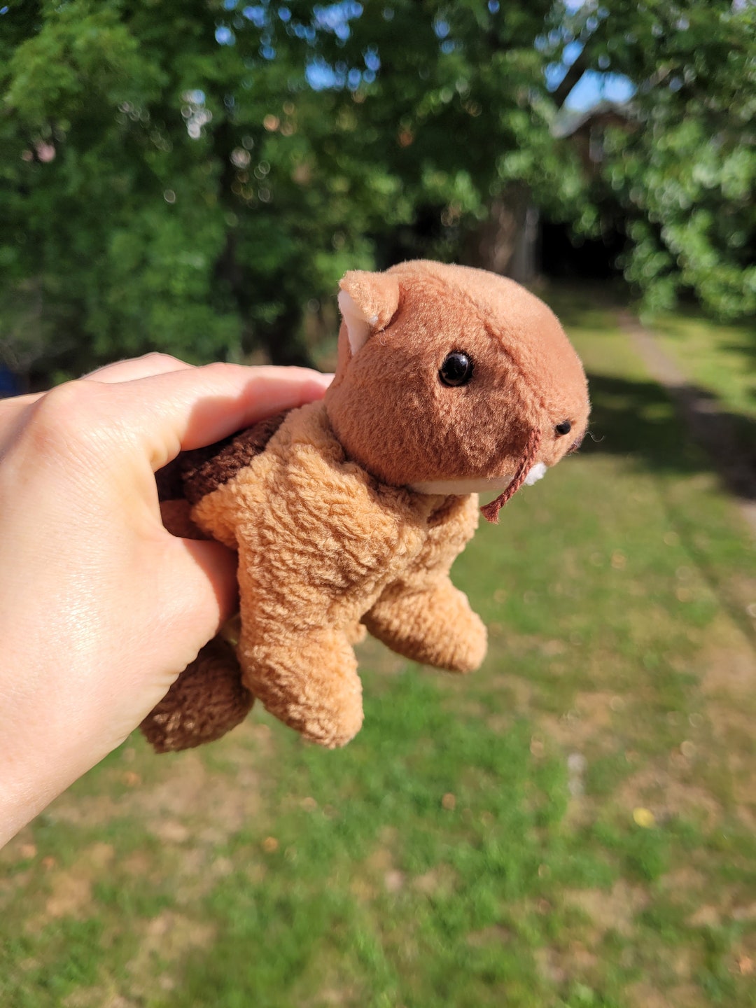 Squirrel Dog Hybrid Plush, Squirrel Plush, Dog Plush, Animal Mashup - Etsy