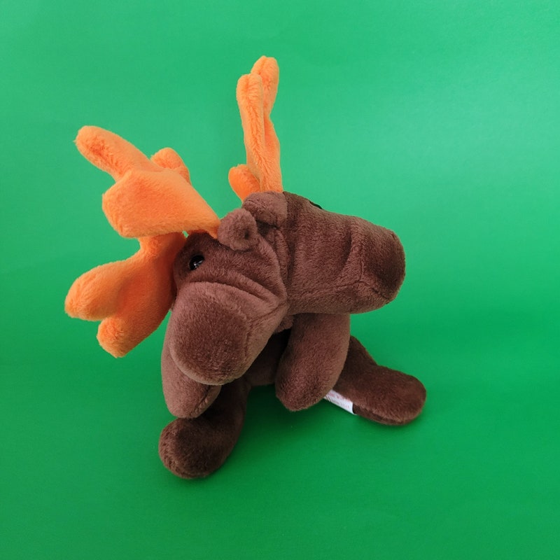 Two Headed Cat - Etsy