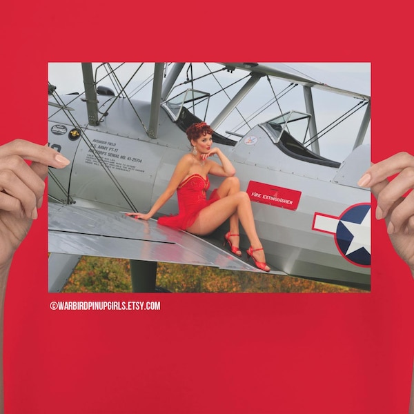Pinups Girls Airplane - Etsy