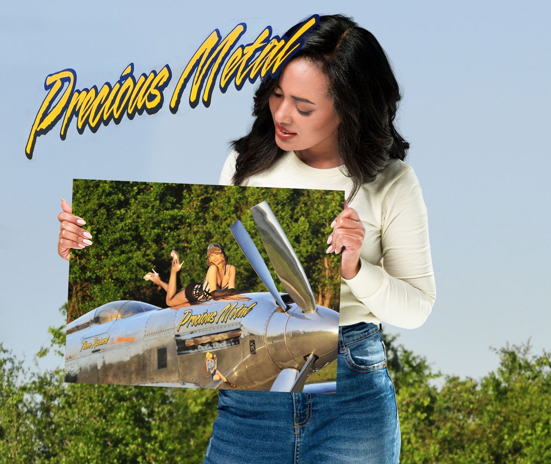 Cute Aviation Pin up Photo Print | Warbird Pinup Girls Precious Metal ...
