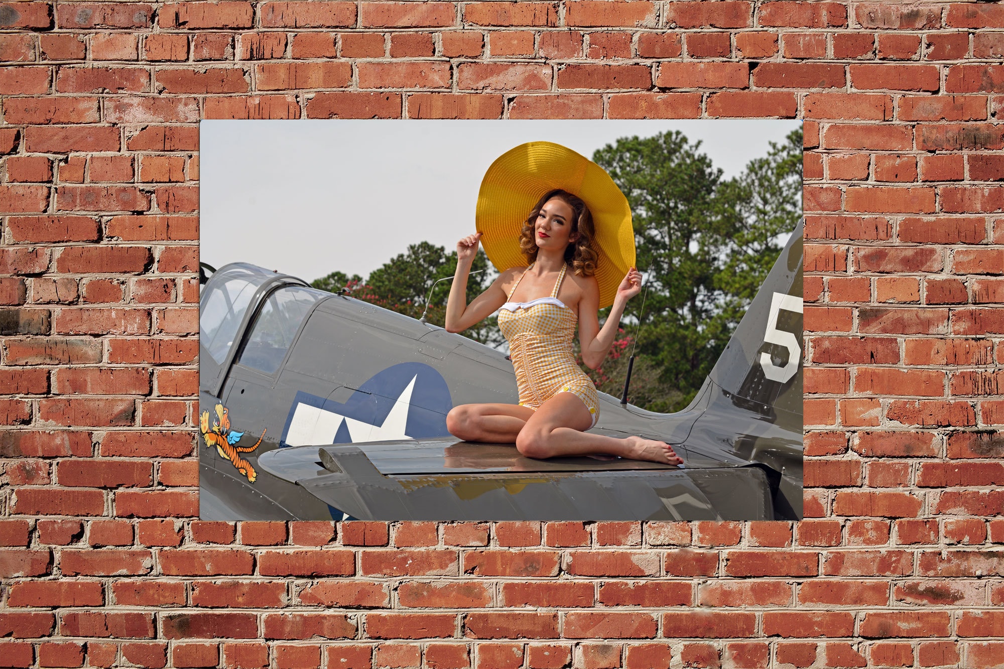 P-40 Warhawk Pinup Girl Poster Warbird Pinup Girls Original - Etsy
