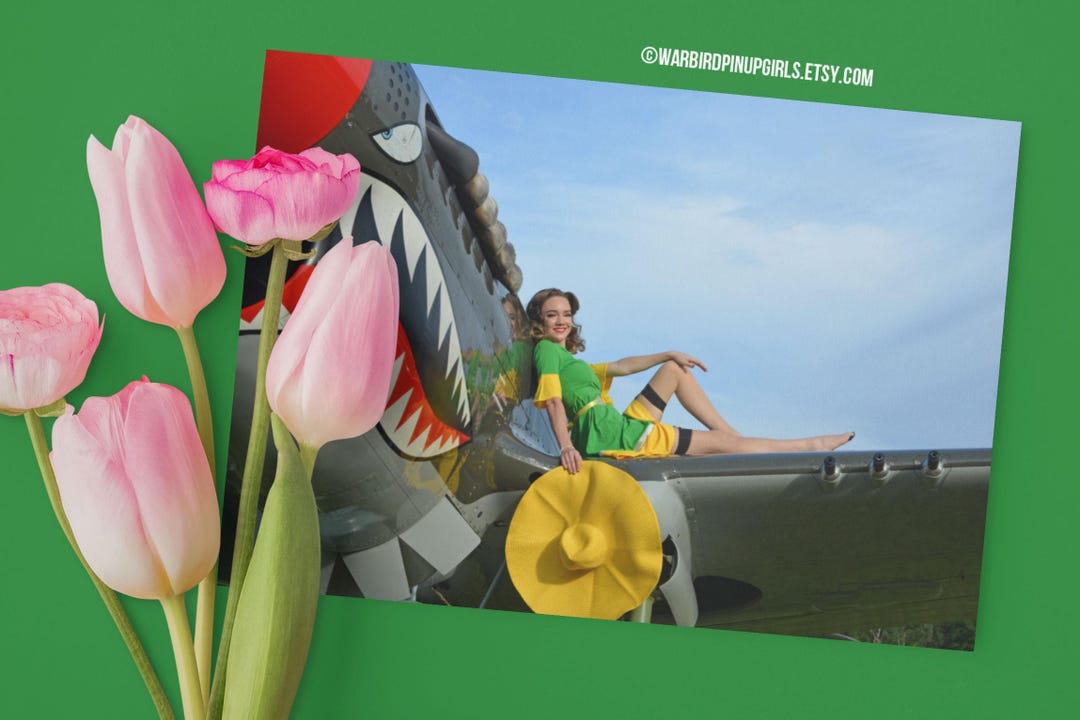 P-40 Warhawk Retro Pinup Poster | Warbird Pinup Girls Matte Paper Photo ...