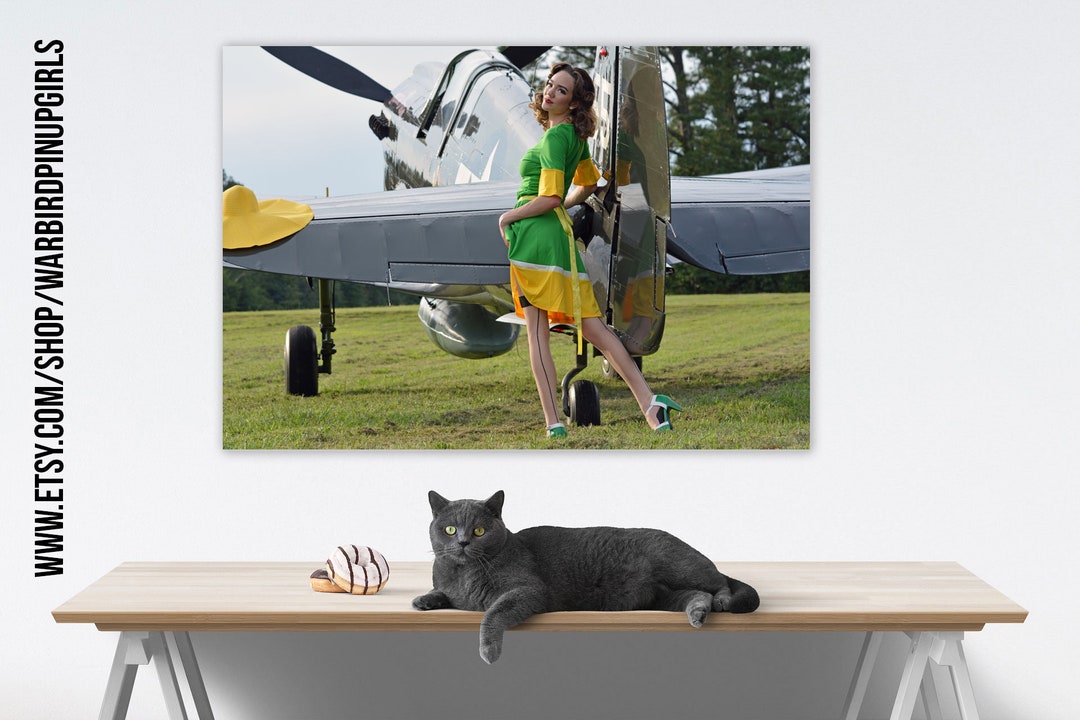1940's Pinup Photo Poster - P-40 Warhawk Beauty | Restored WWII ...