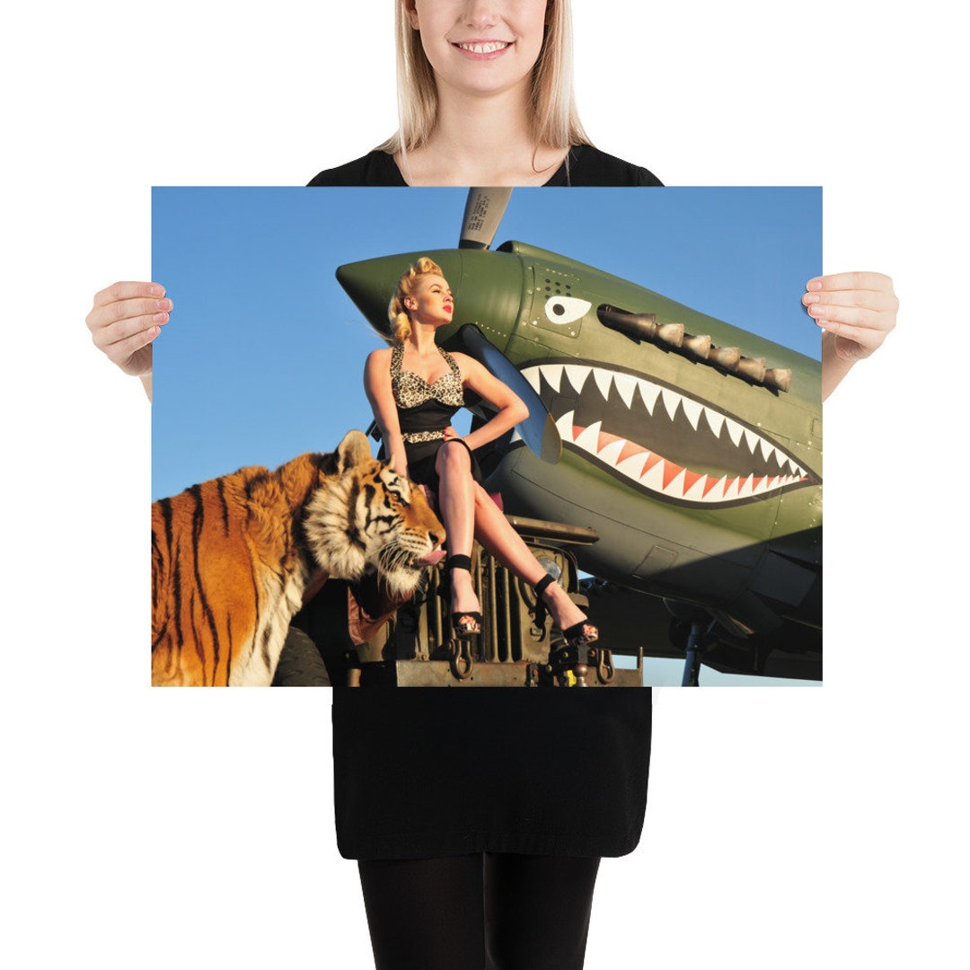 AVG Flying Tigers P-40 Aircraft Poster - Aviation Lover Wild Tiger ...