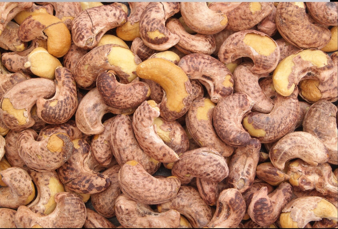 High Quality Roasted Cashew Nuts. Homemade, Salted Roasted, Whole Cashews With Skin From Vietnam ...