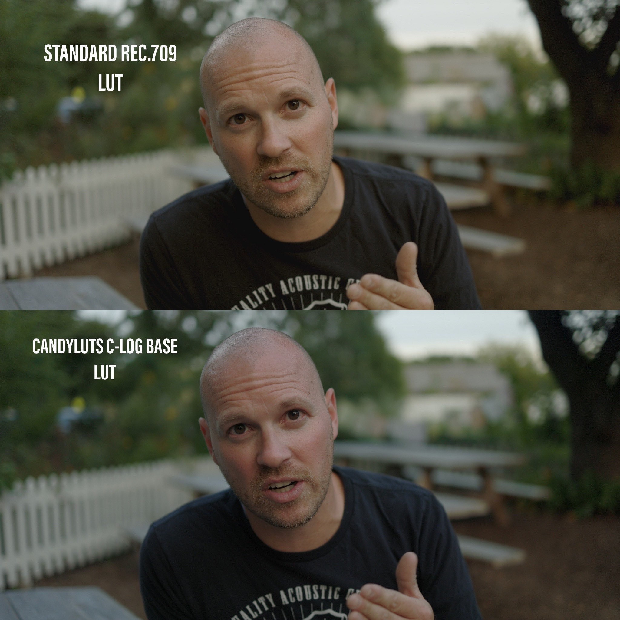 C-log LUT base Grade LUT Premiere Pro Davinci Resolve - Etsy