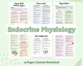 Endocrine System Physiology Notes | Anatomy and Physiology Endocrine ...