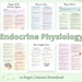 Endocrine System Physiology Notes | Anatomy and Physiology Endocrine ...