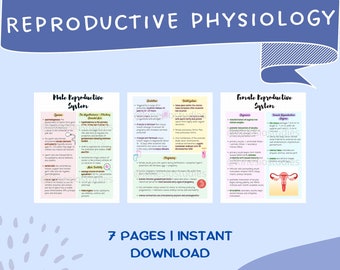 Anatomy and Physiology Reproductive System Bundle Reproductive System ...