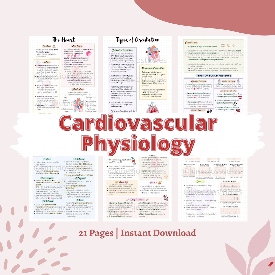 Cardiovascular Physiology Notes | Circulatory System Physiology Notes ...